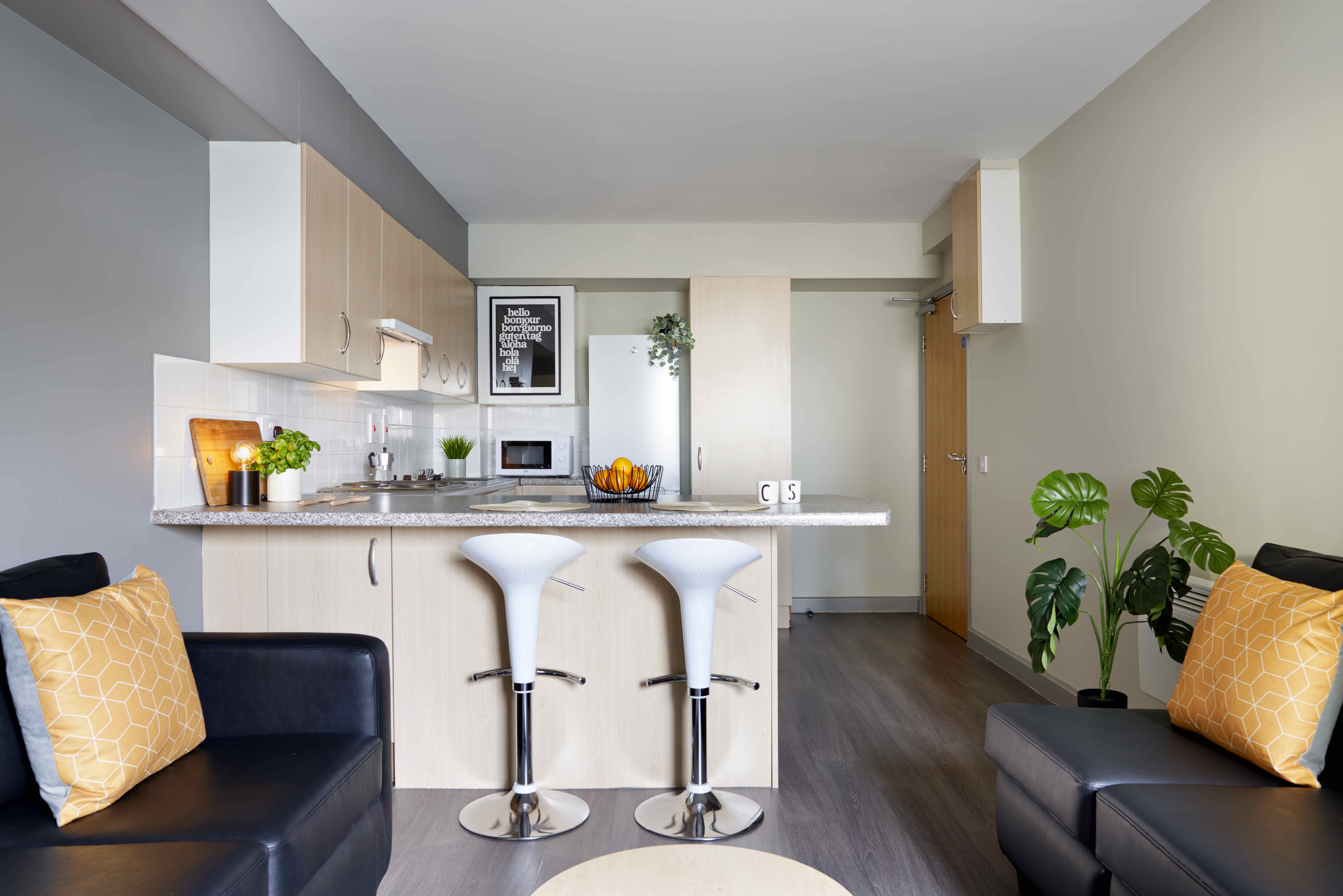 Alexandra Works | Plymouth Student Accommodation | Capitol Students